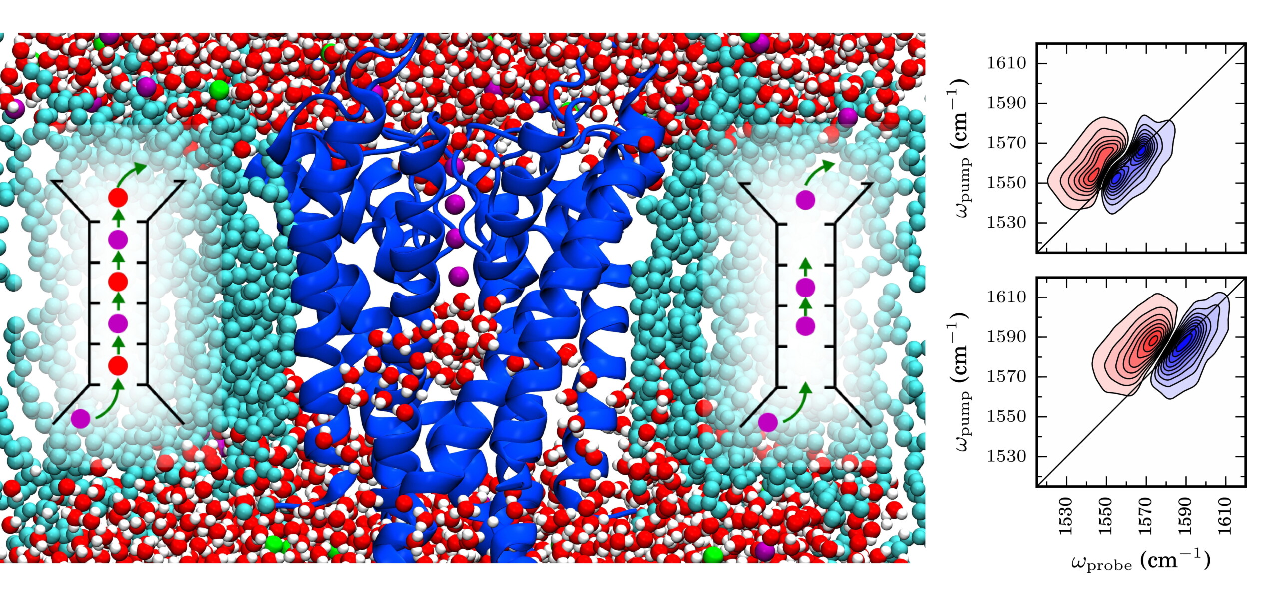 RESEARCH – KANANENKA GROUP